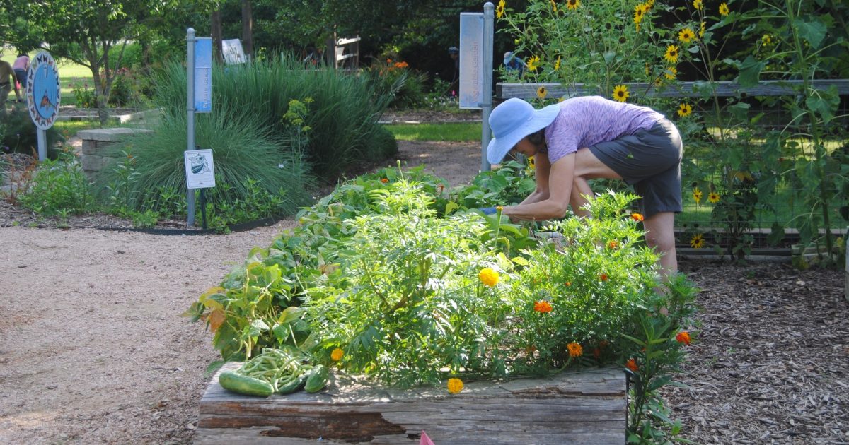 Brazos County Arboretum and Demonstration Idea Garden | Destination Bryan