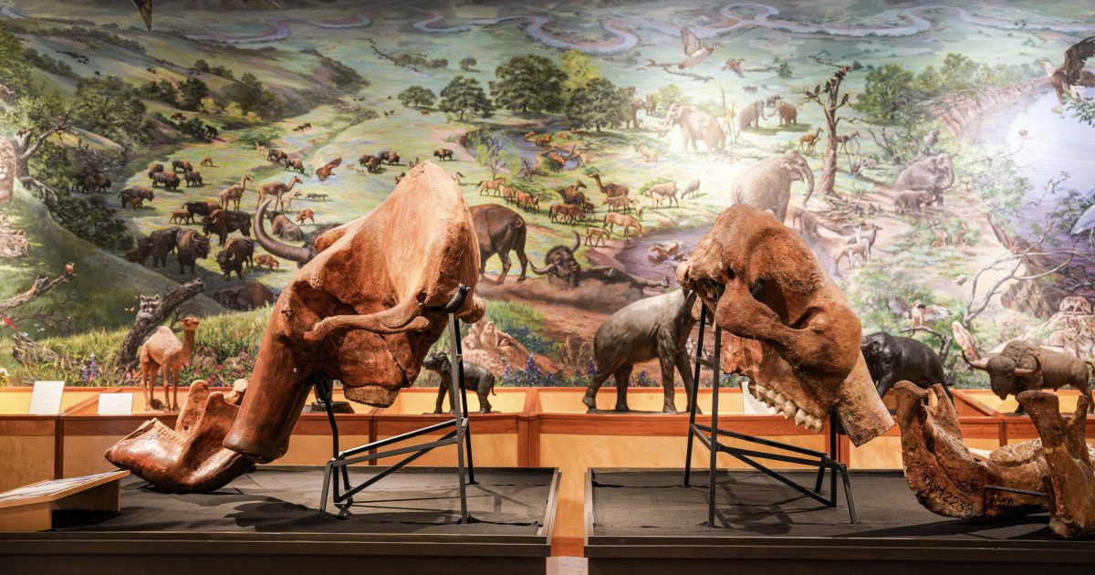 Nyx Grange Valley Museum